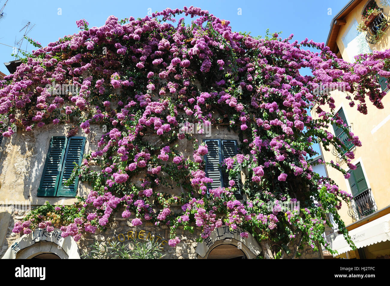 house, building, plant, flower, flowers, europe, gardasee, italy, house ...