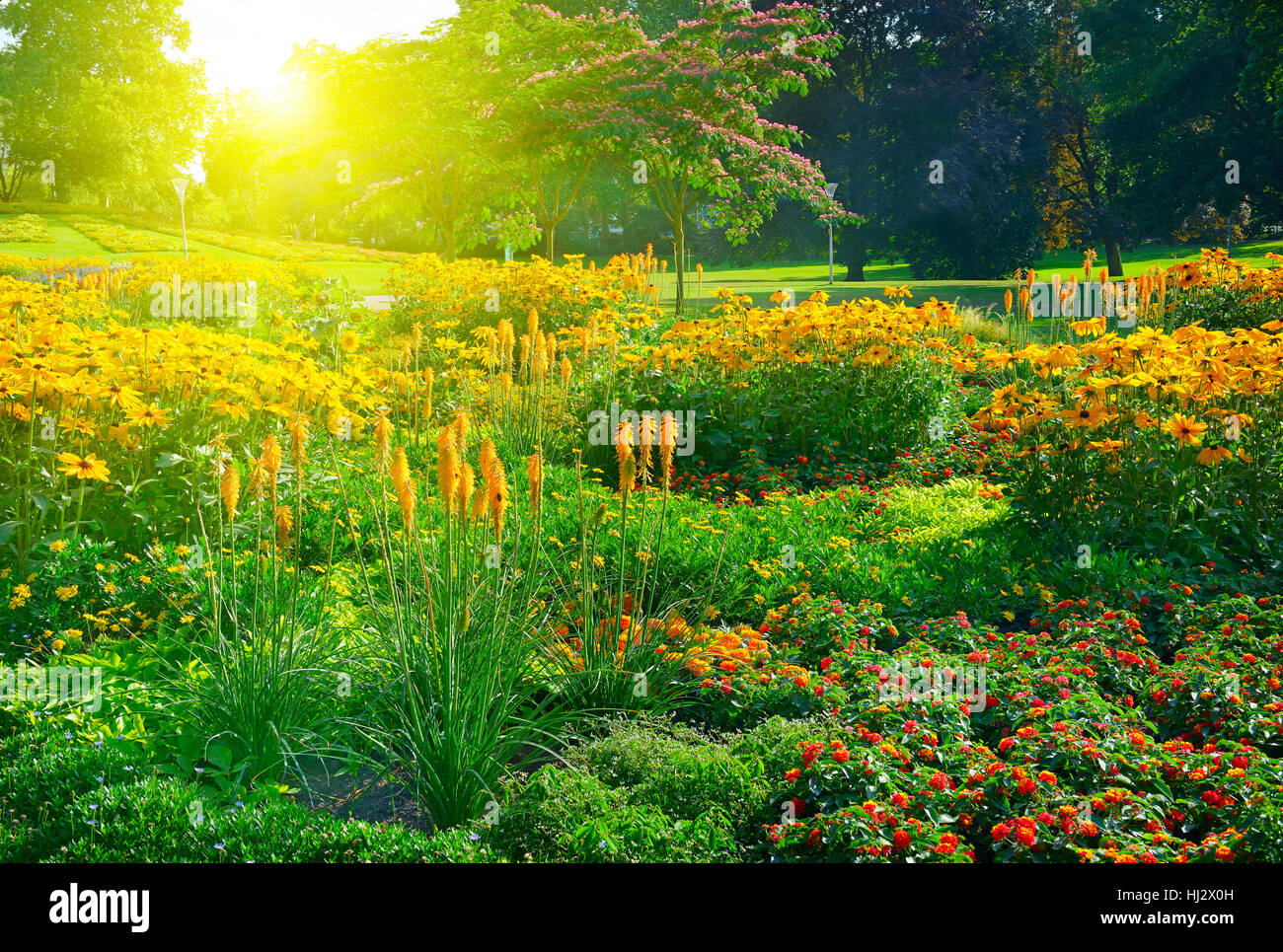 Flowerbed hi-res stock photography and images - Alamy