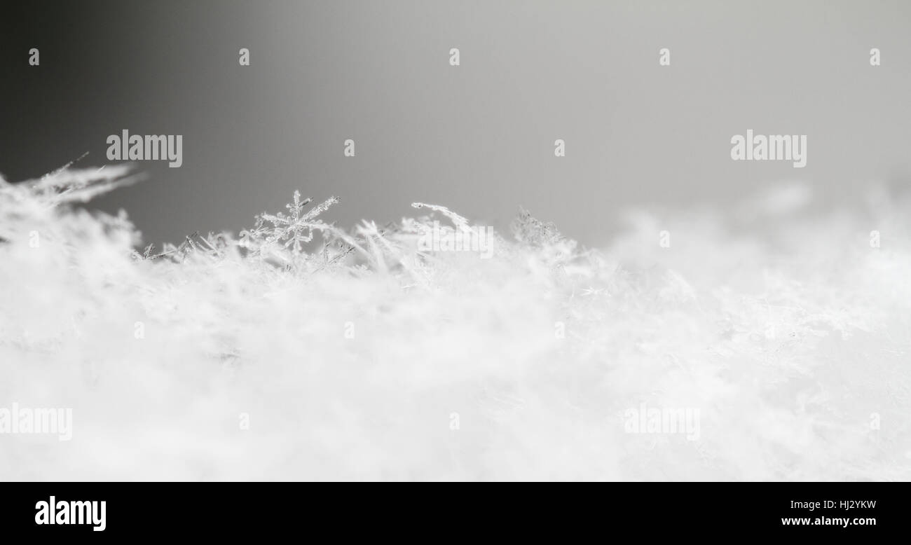 winter, snow, coke, cocaine, material, drug, anaesthetic, addictive ...