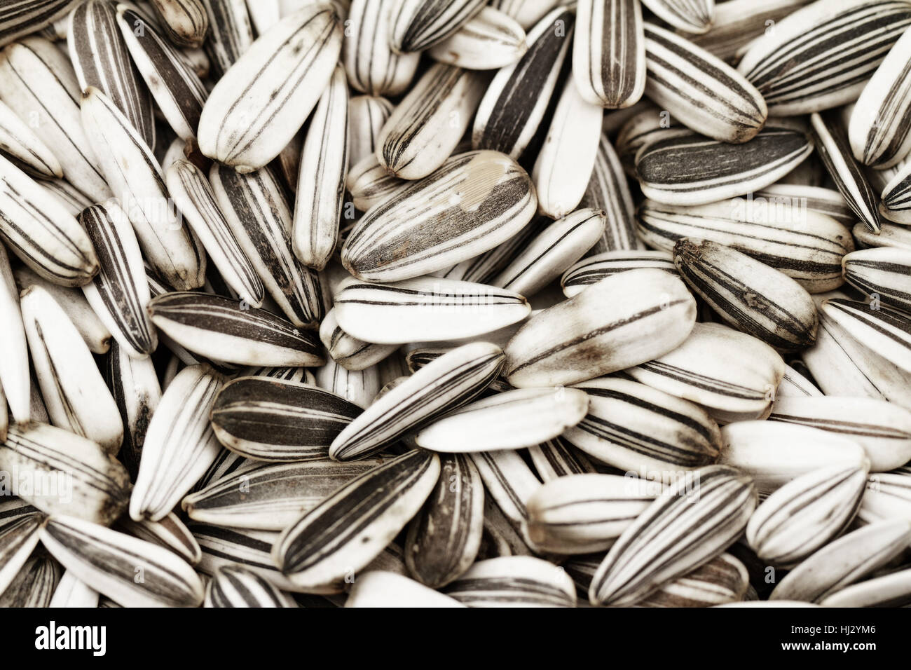 food, aliment, flower, sunflower, plant, raw, seed, eating, eat, eats ...