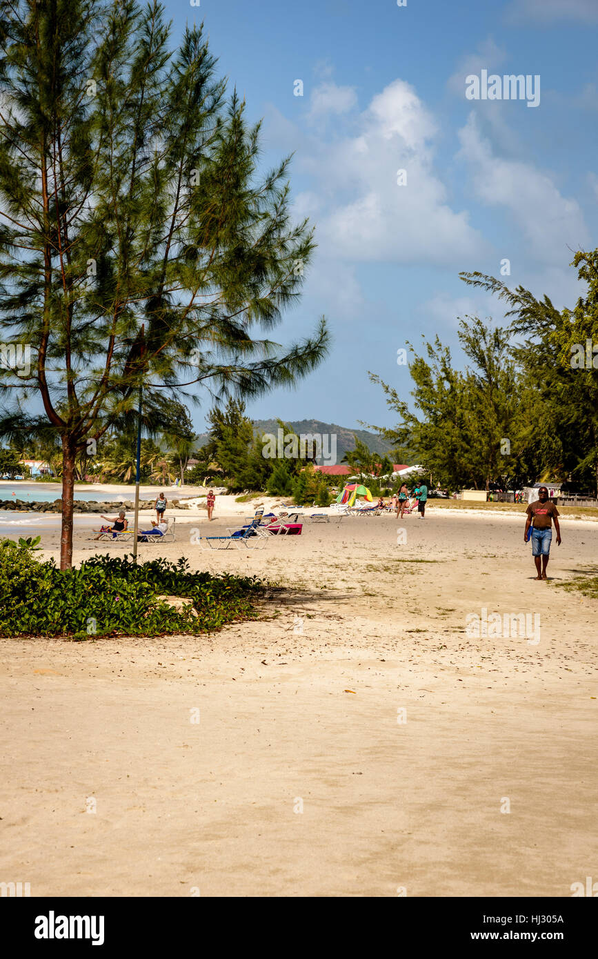 Jolly harbour antigua hi-res stock photography and images - Alamy