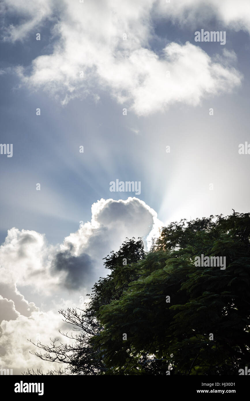 Fingers of God sun rays radiating from cloud, Antigua Stock Photo - Alamy