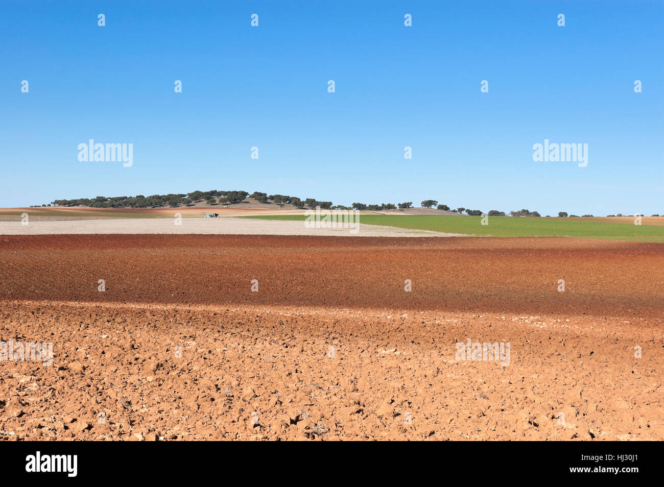 field, plain, farm, crops, ploughed, agricultural, horizon, winter ...