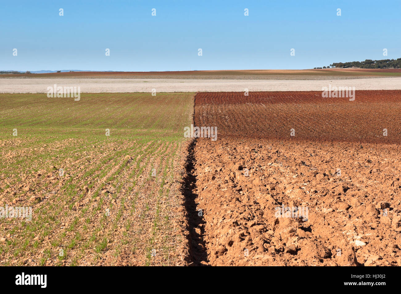 field, plain, farm, crops, ploughed, agricultural, horizon, winter ...