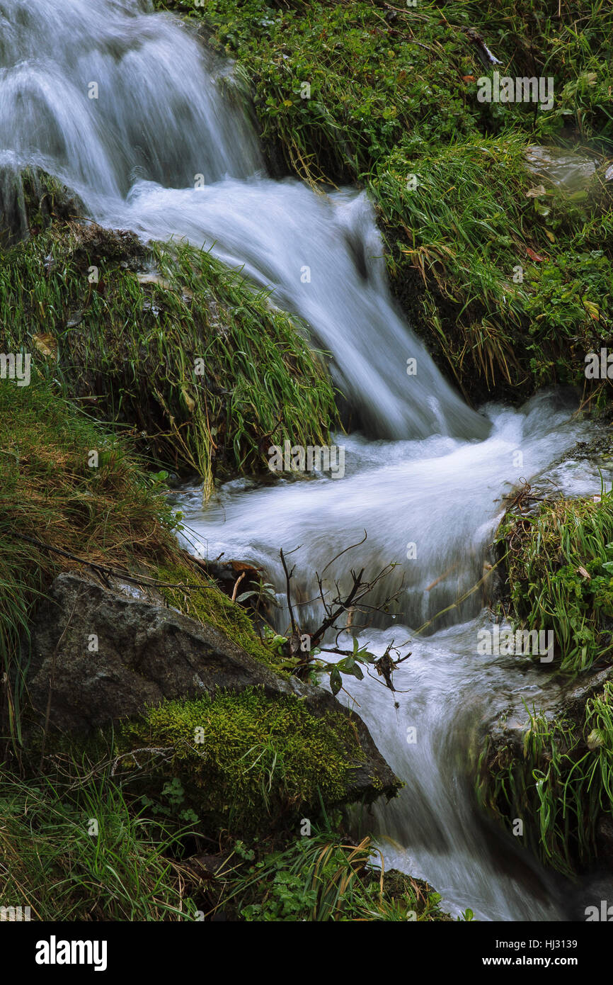 Brooklet hi-res stock photography and images - Alamy