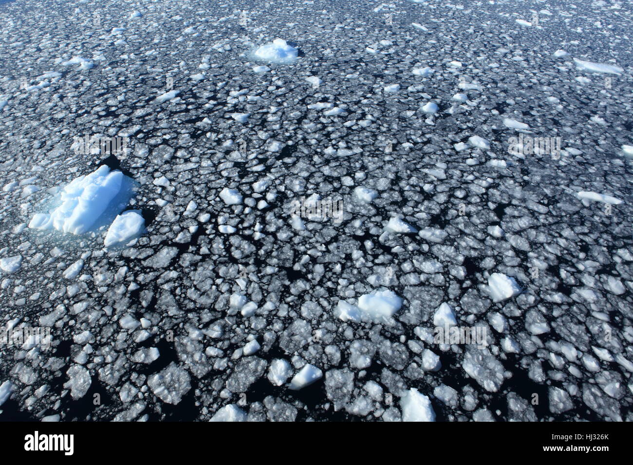 drift ice of antarctica Stock Photo - Alamy