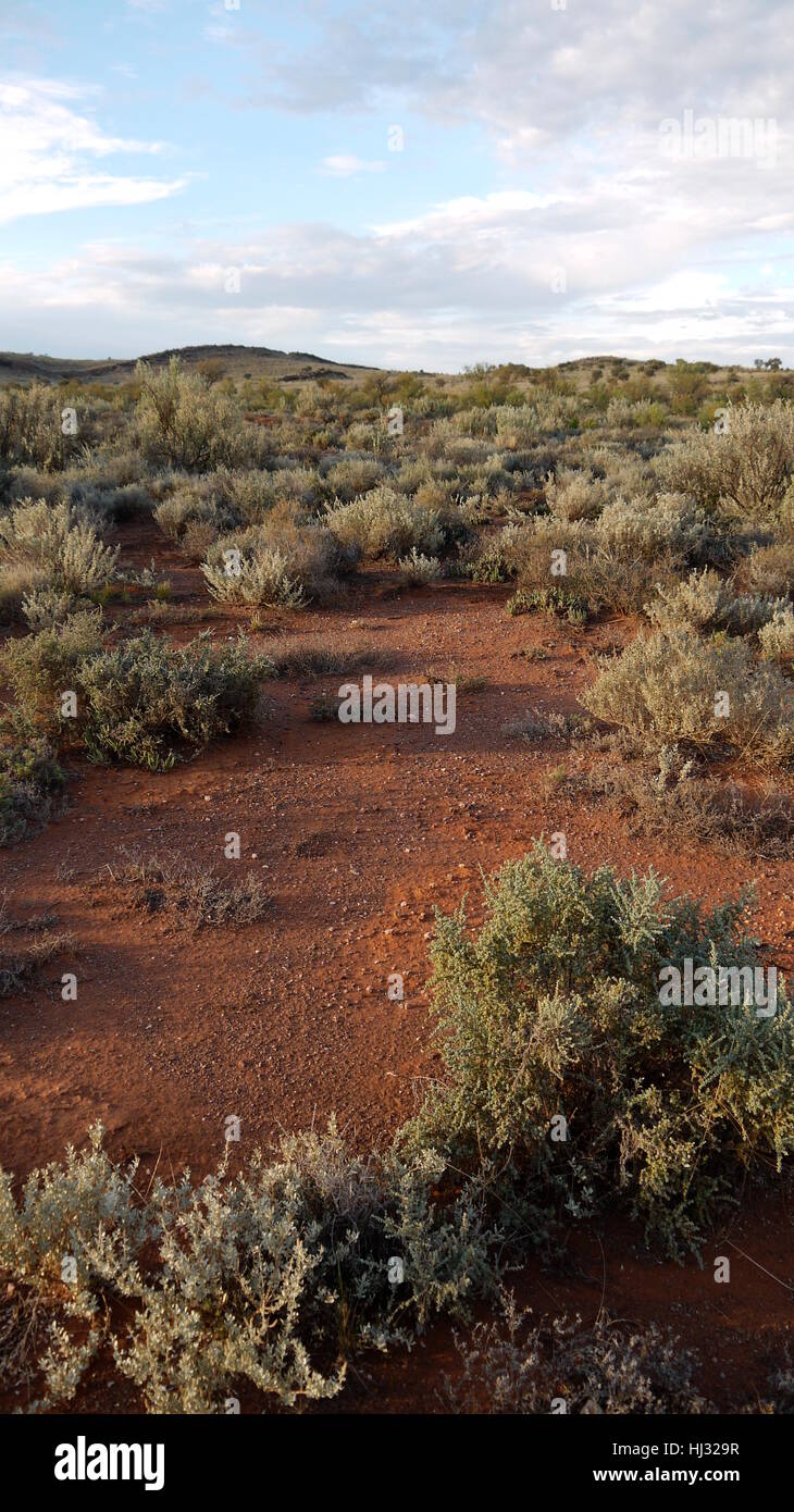 the australian outback Stock Photo - Alamy