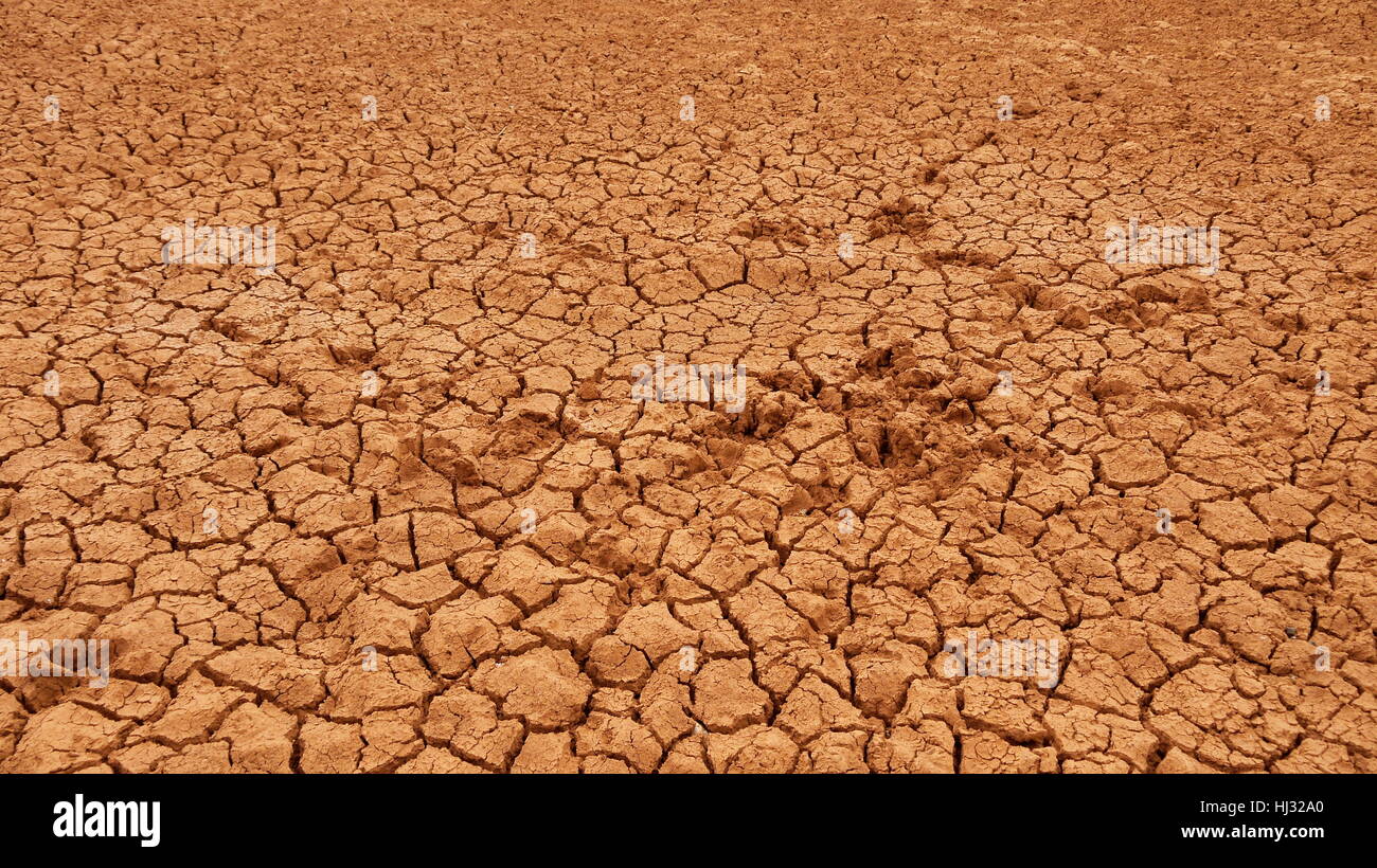 Outbackboden hi-res stock photography and images - Alamy