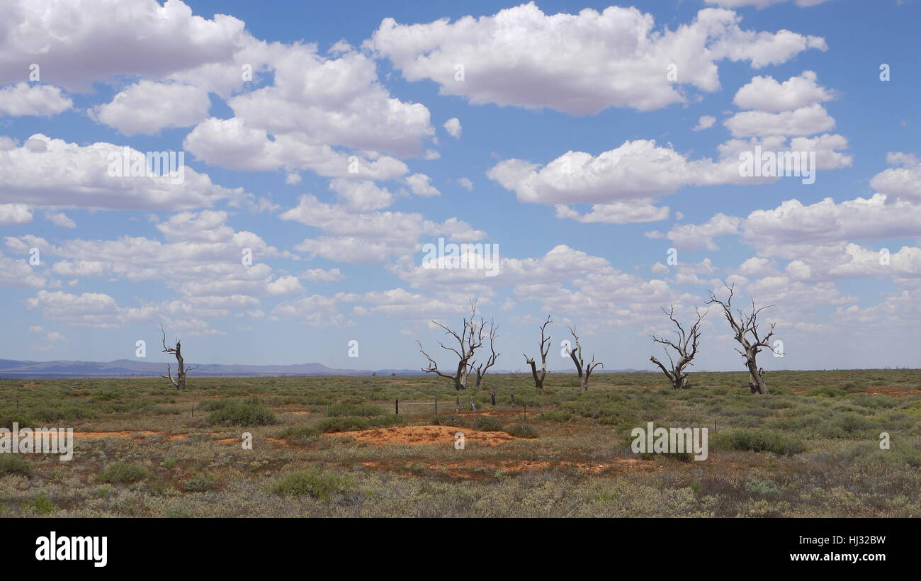 the australian outback Stock Photo - Alamy