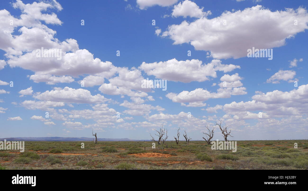 the australian outback Stock Photo - Alamy
