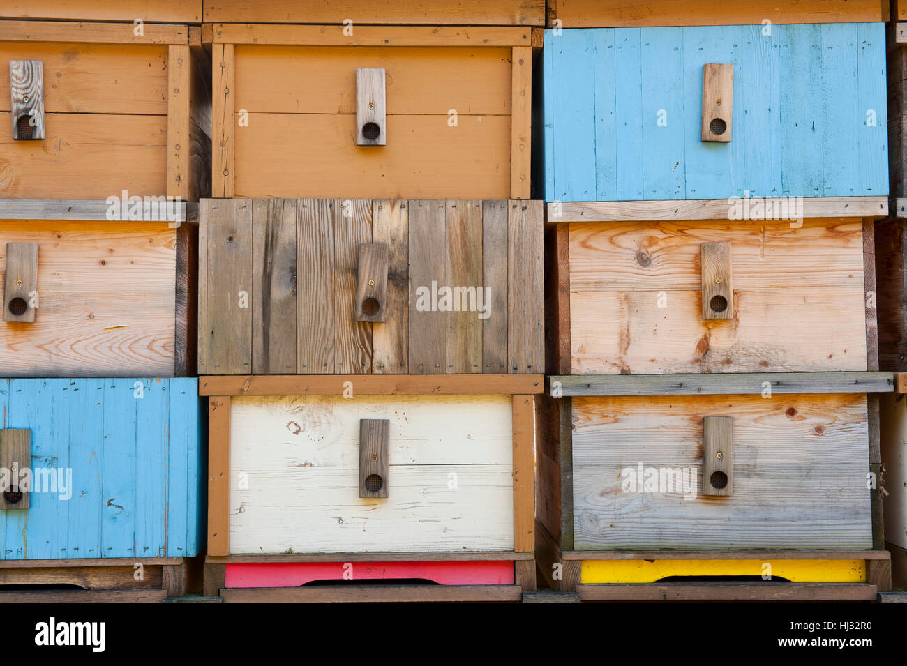 house, building, apiary, insect, bee, house, building, detail, colour ...