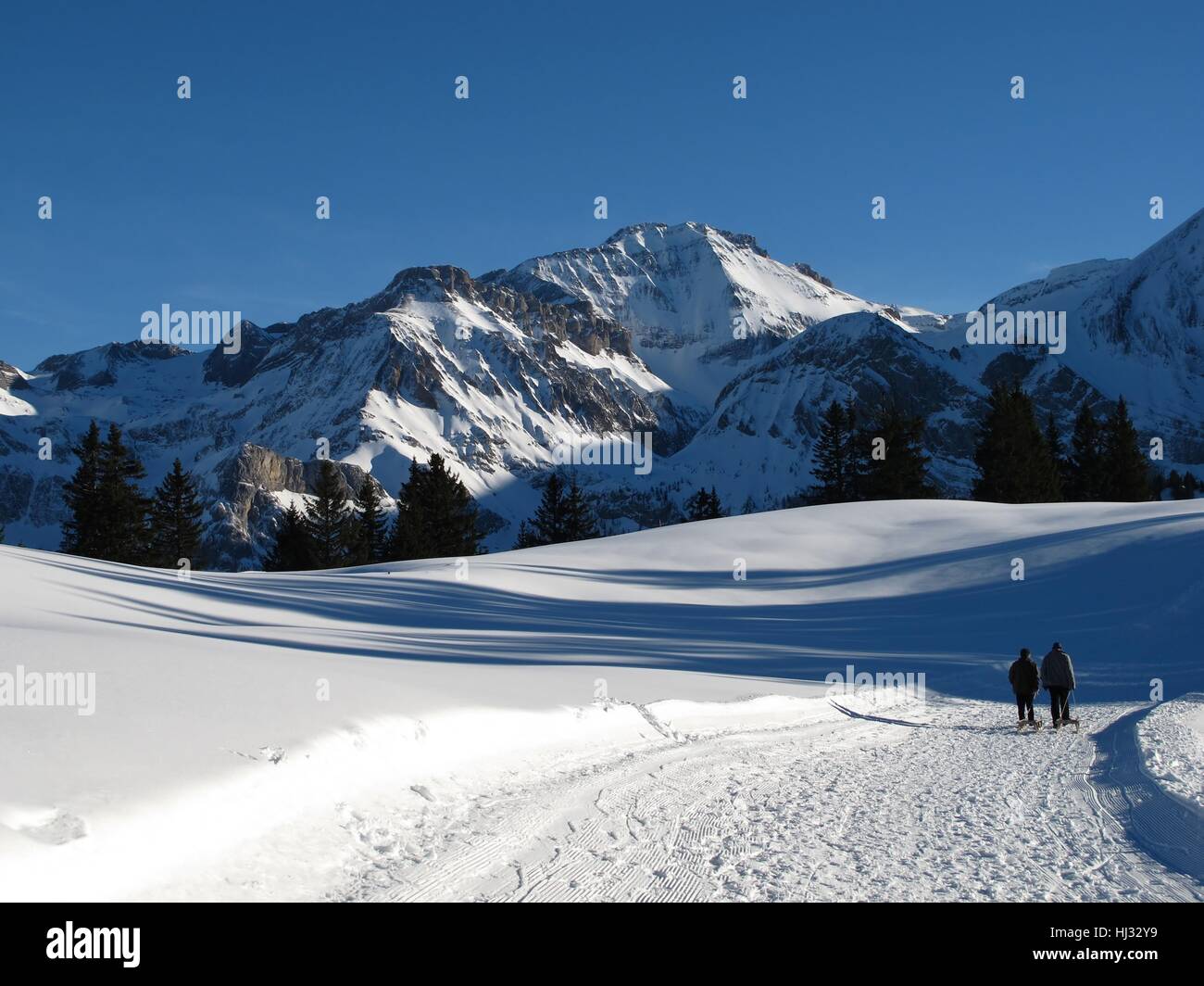 mountains, winter, alps, snow, coke, cocaine, material, drug ...
