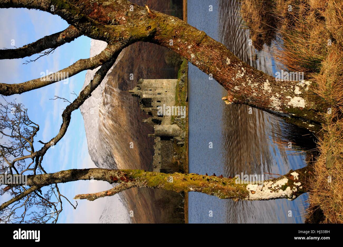 ruin, idea, perspective, point of view, approach, view, opinion, angle ...