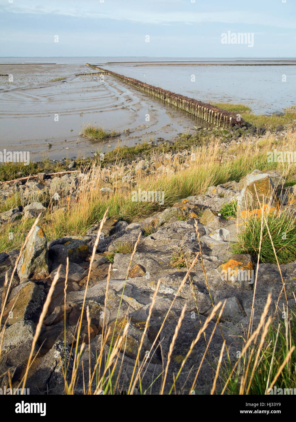 coast, watt, mud flats, scenery, countryside, nature, environment ...