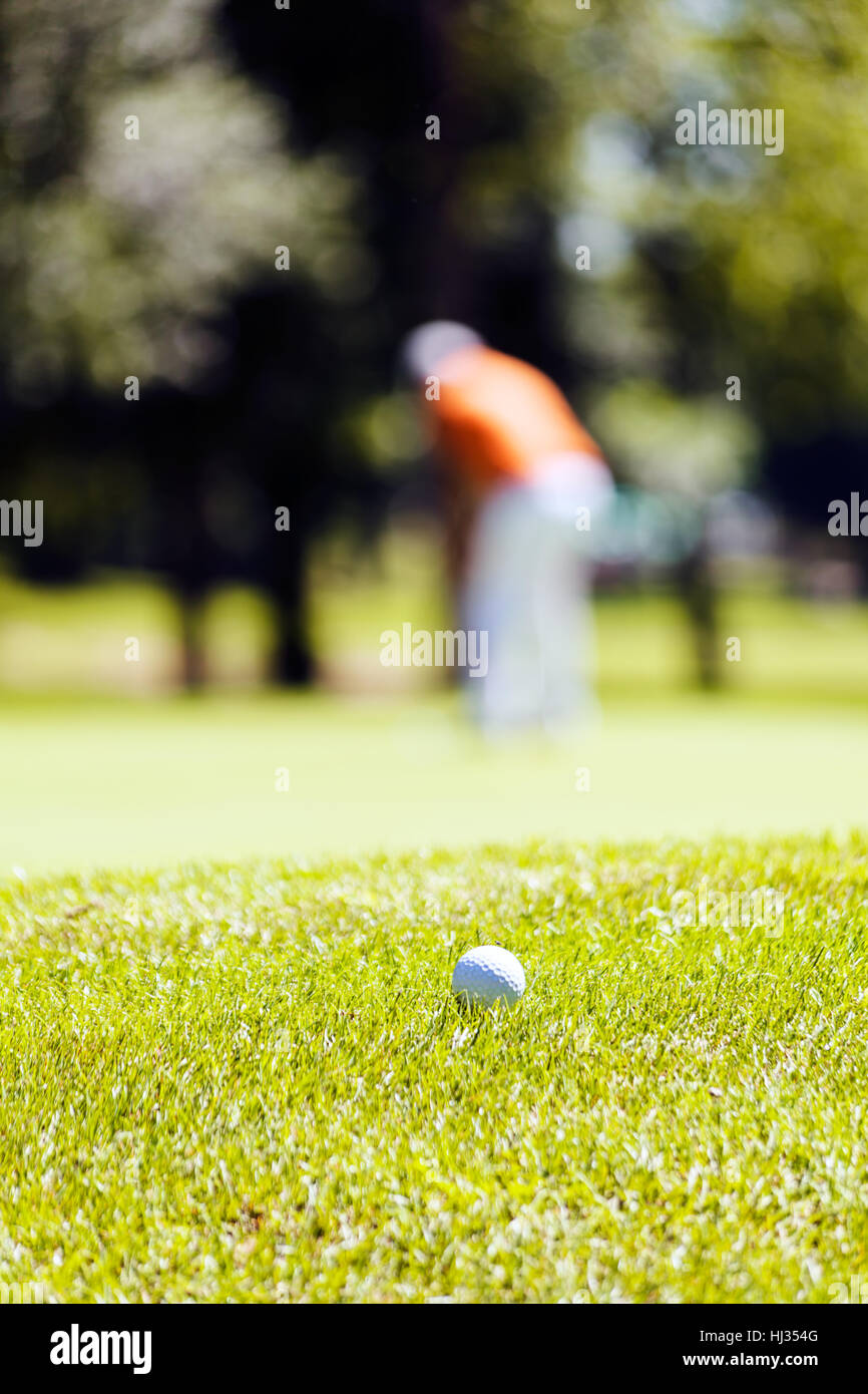 golfers on the golf course with trees around, note shallow depth of ...