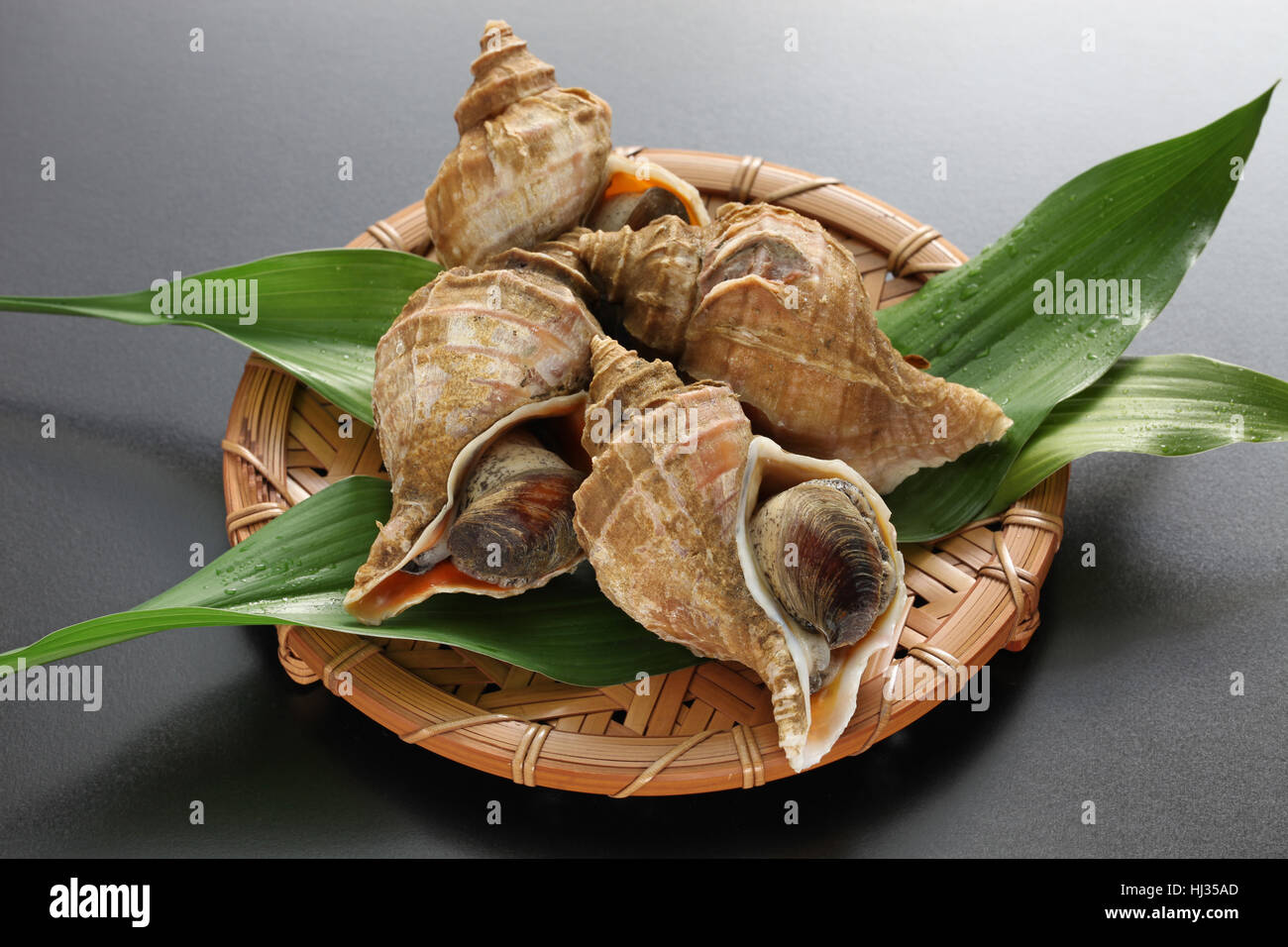 tsubu gai, japanese whelk Stock Photo - Alamy