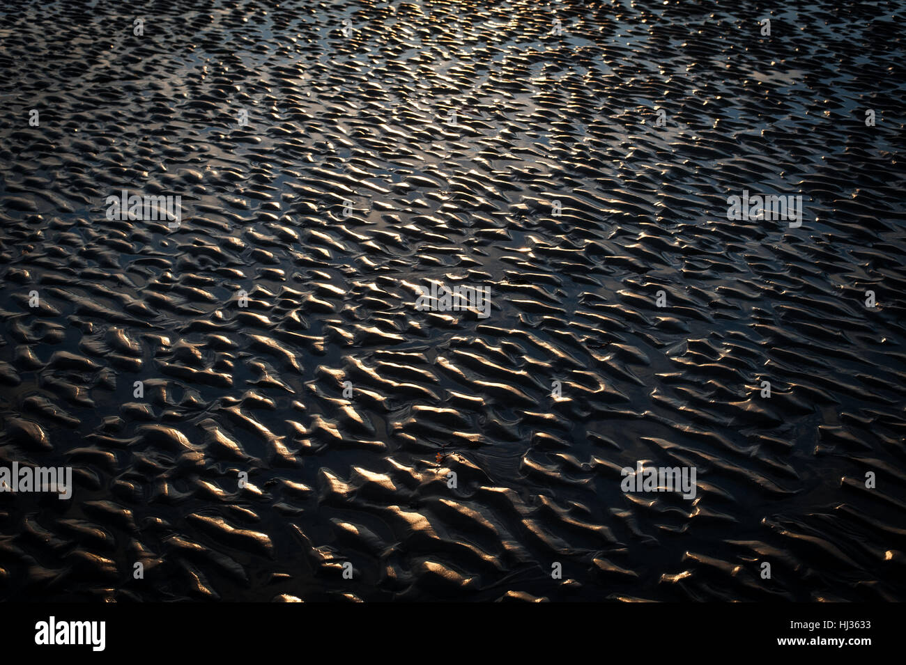 Wet sand glistens in the early morning light during low tide on a beach ...