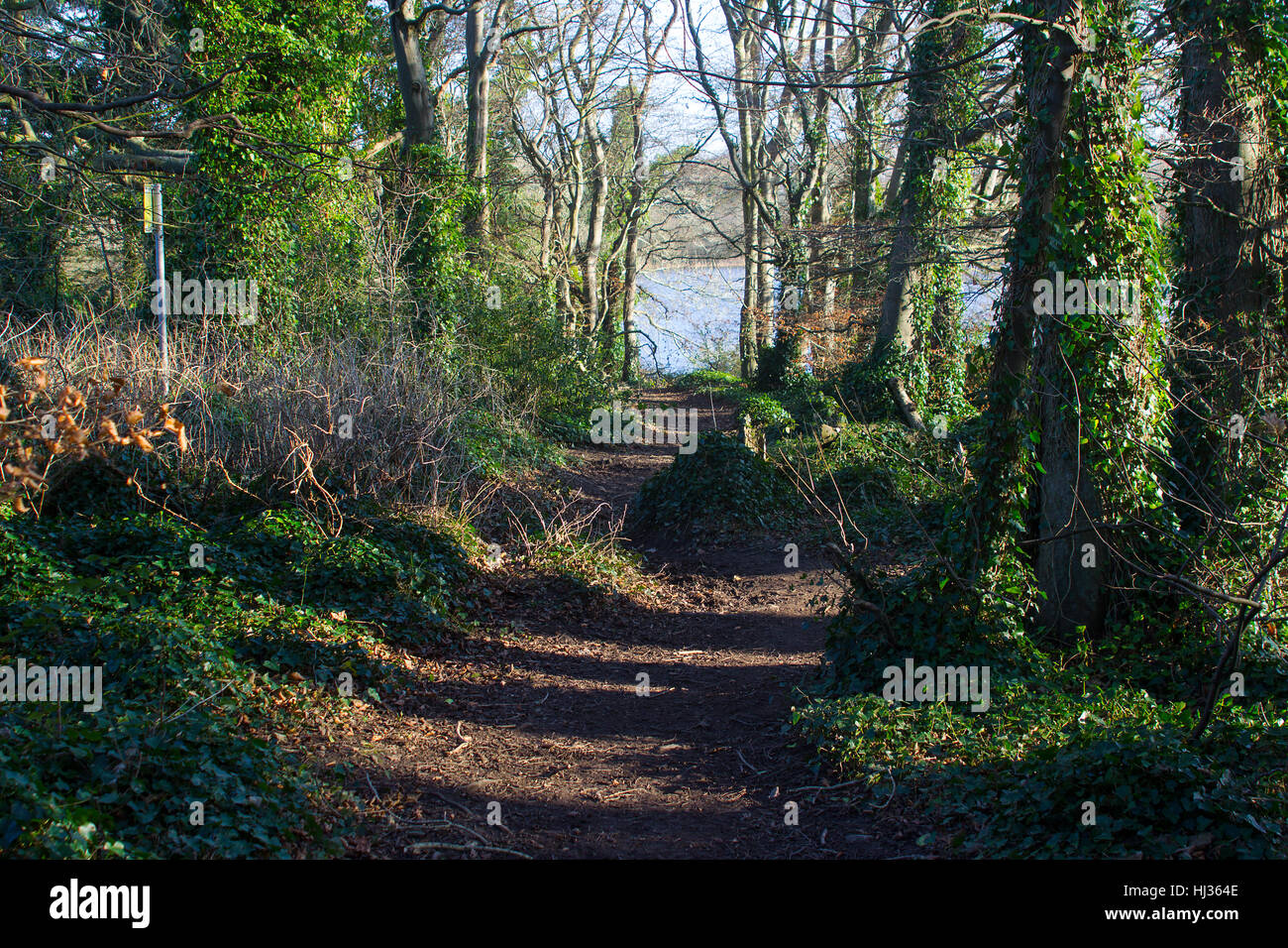 Pathway to a small reservoir used by anglers for fishing trout. This ...