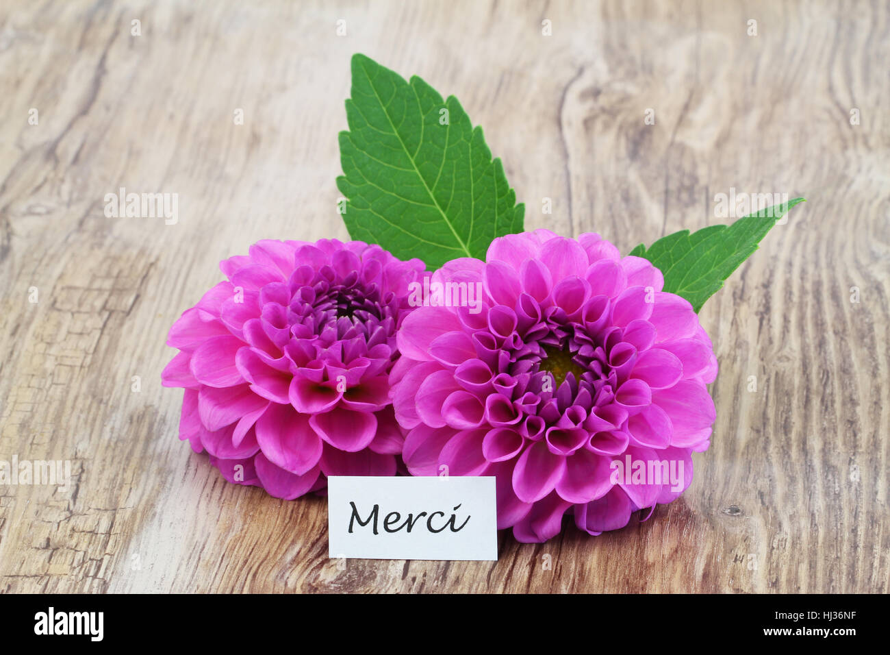 Thank you note in french hi-res stock photography and images - Alamy