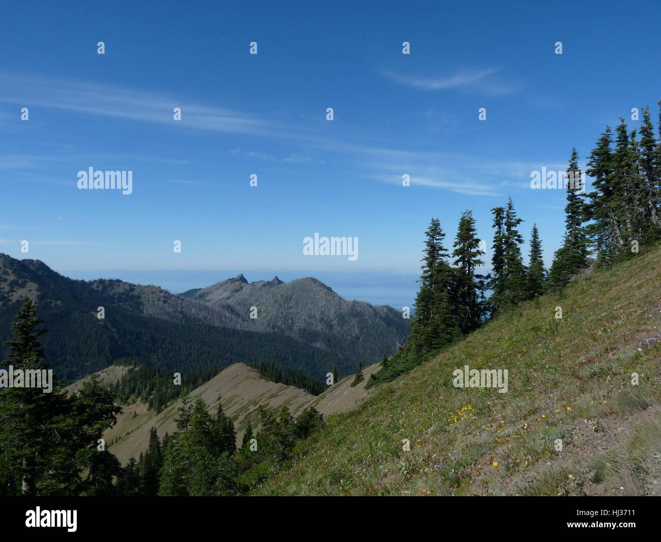 usa, america, canada, sight, view, outlook, perspective, vista ...