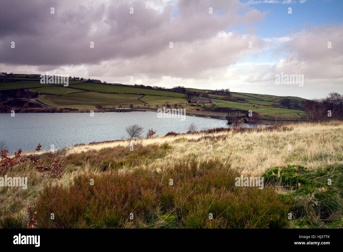 dam, embankment, water, blue, tree, trees, agriculture, farming, field ...