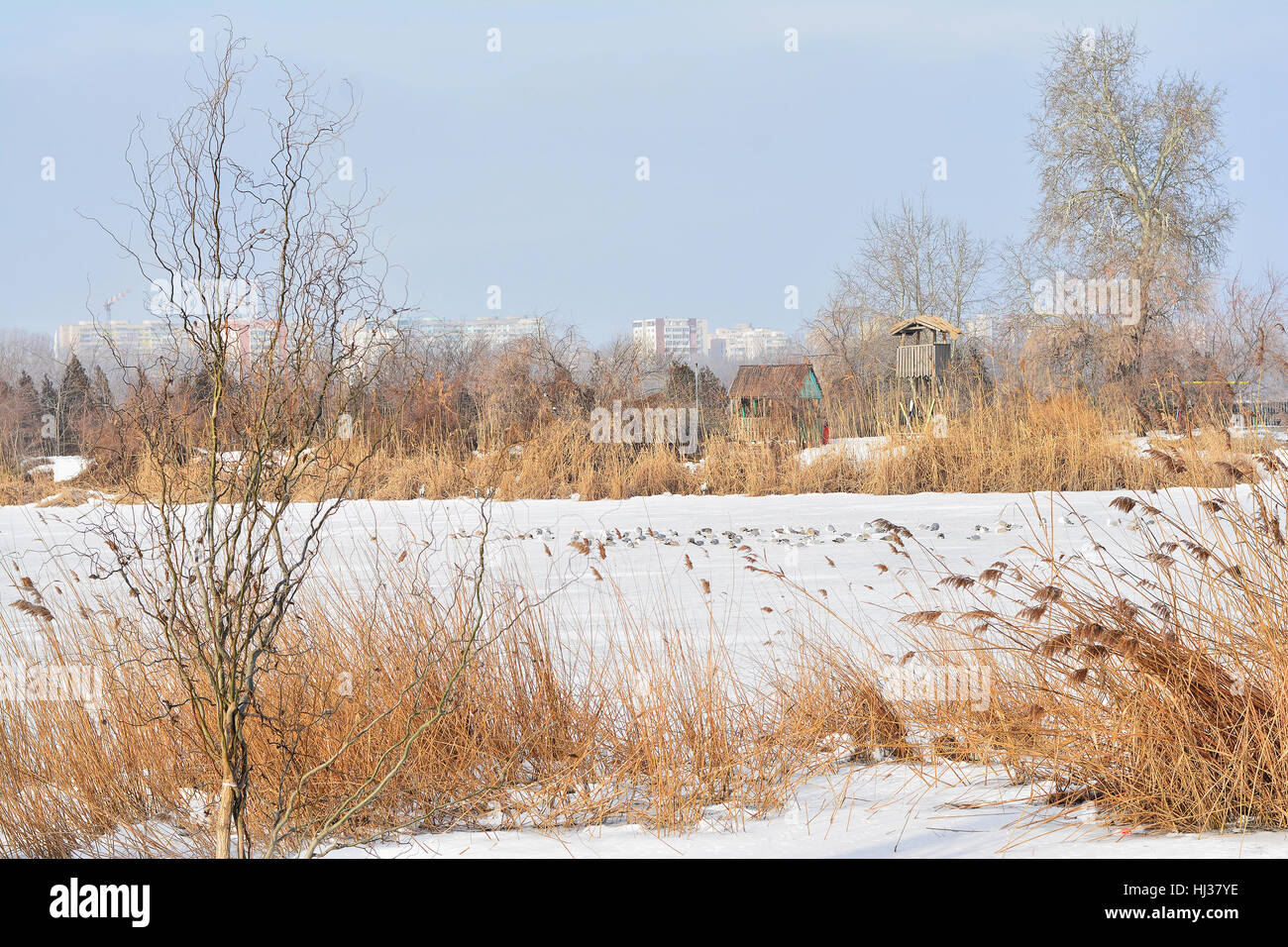 Rezervatie hi-res stock photography and images - Alamy