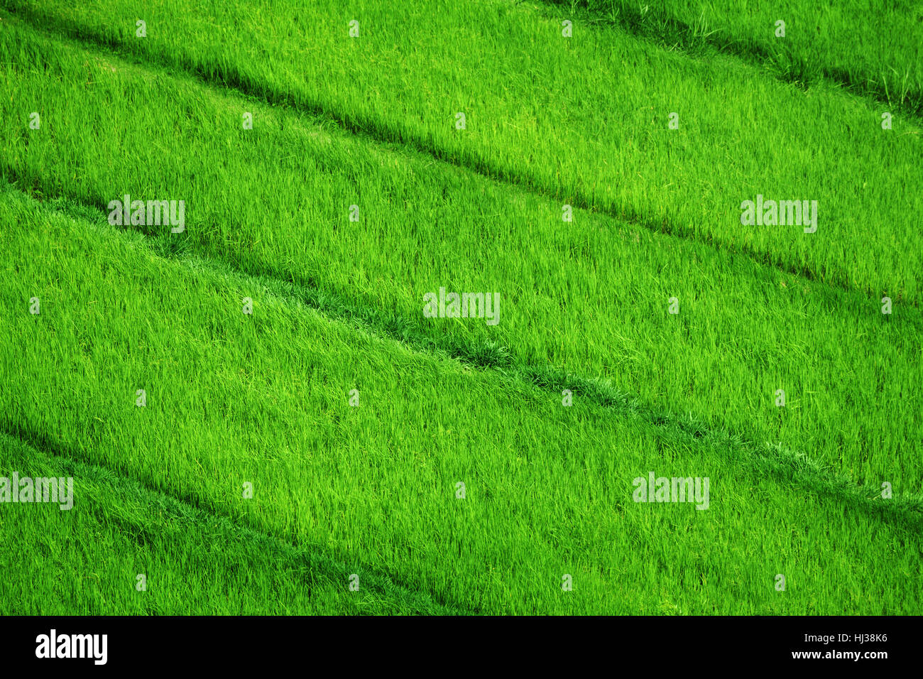 sight, view, outlook, perspective, vista, panorama, lookout, landscape ...