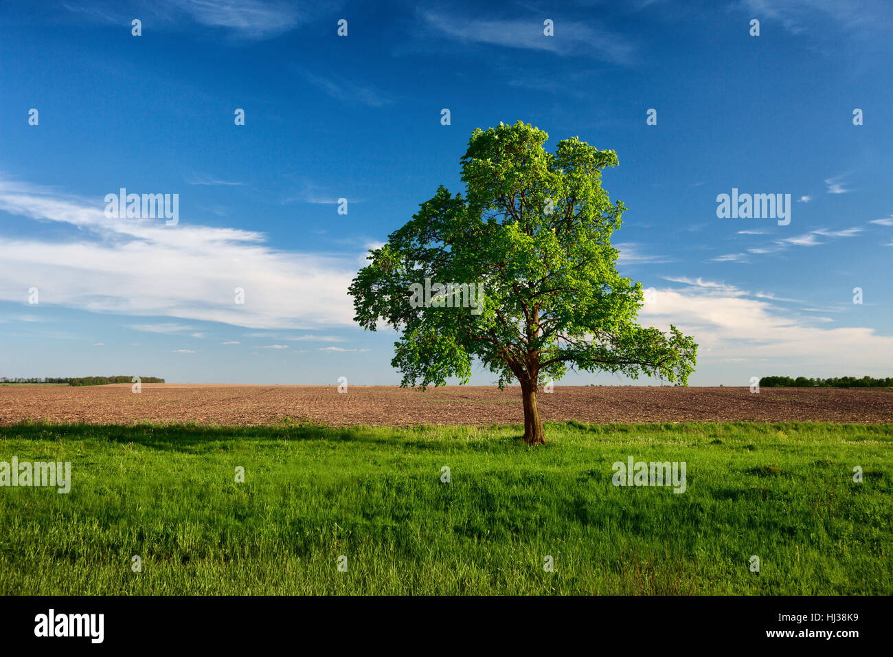 sight, view, outlook, perspective, vista, panorama, lookout, landscape ...
