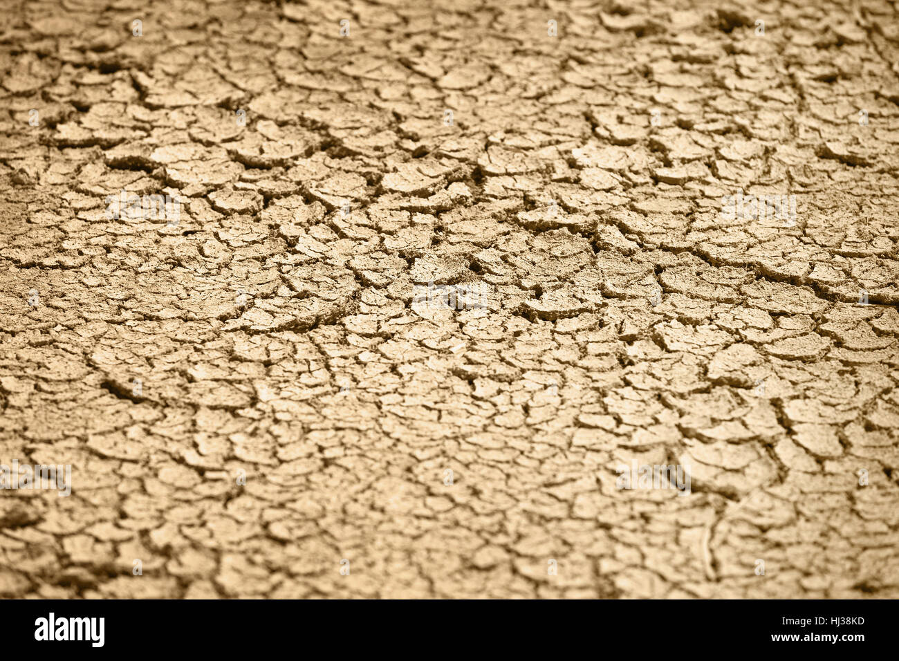 stone, pattern, textured, backdrop, background, natural, closeup ...