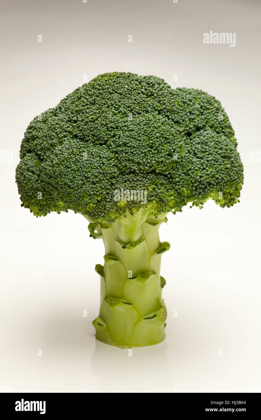 food, aliment, garden, agriculture, farming, kitchen, cuisine, boil ...