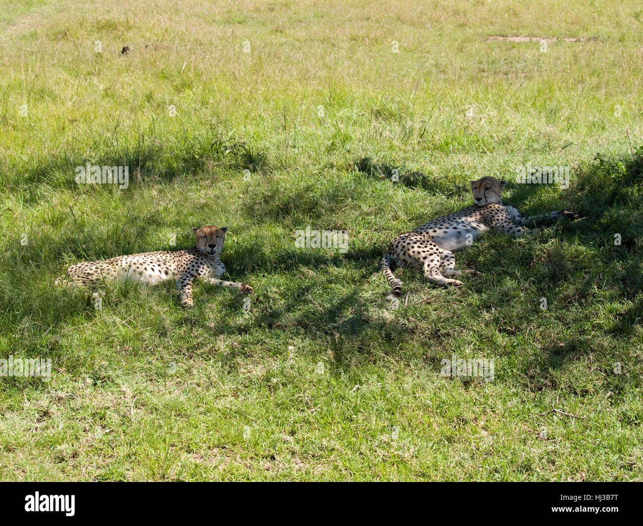 kenya, sight, view, outlook, perspective, vista, panorama, lookout ...
