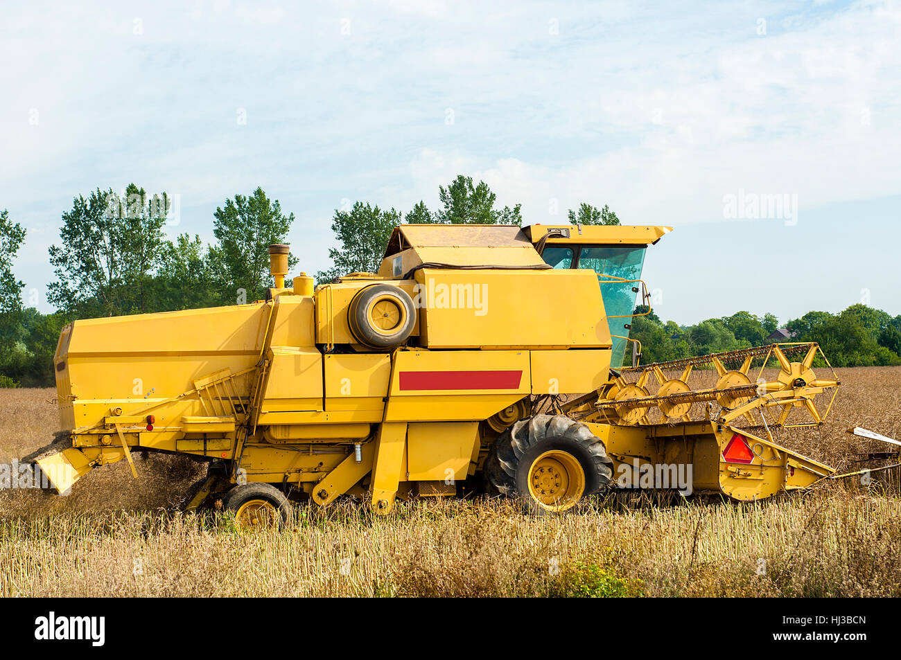bread, agricultural, agriculture, farming, corn, country, cereal, grain ...