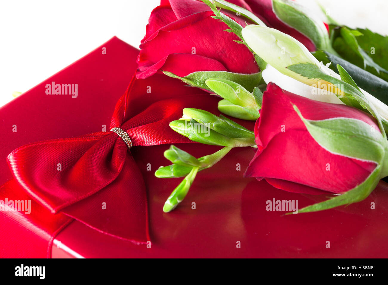 present, model, design, project, concept, plan, draft, flower, plant ...