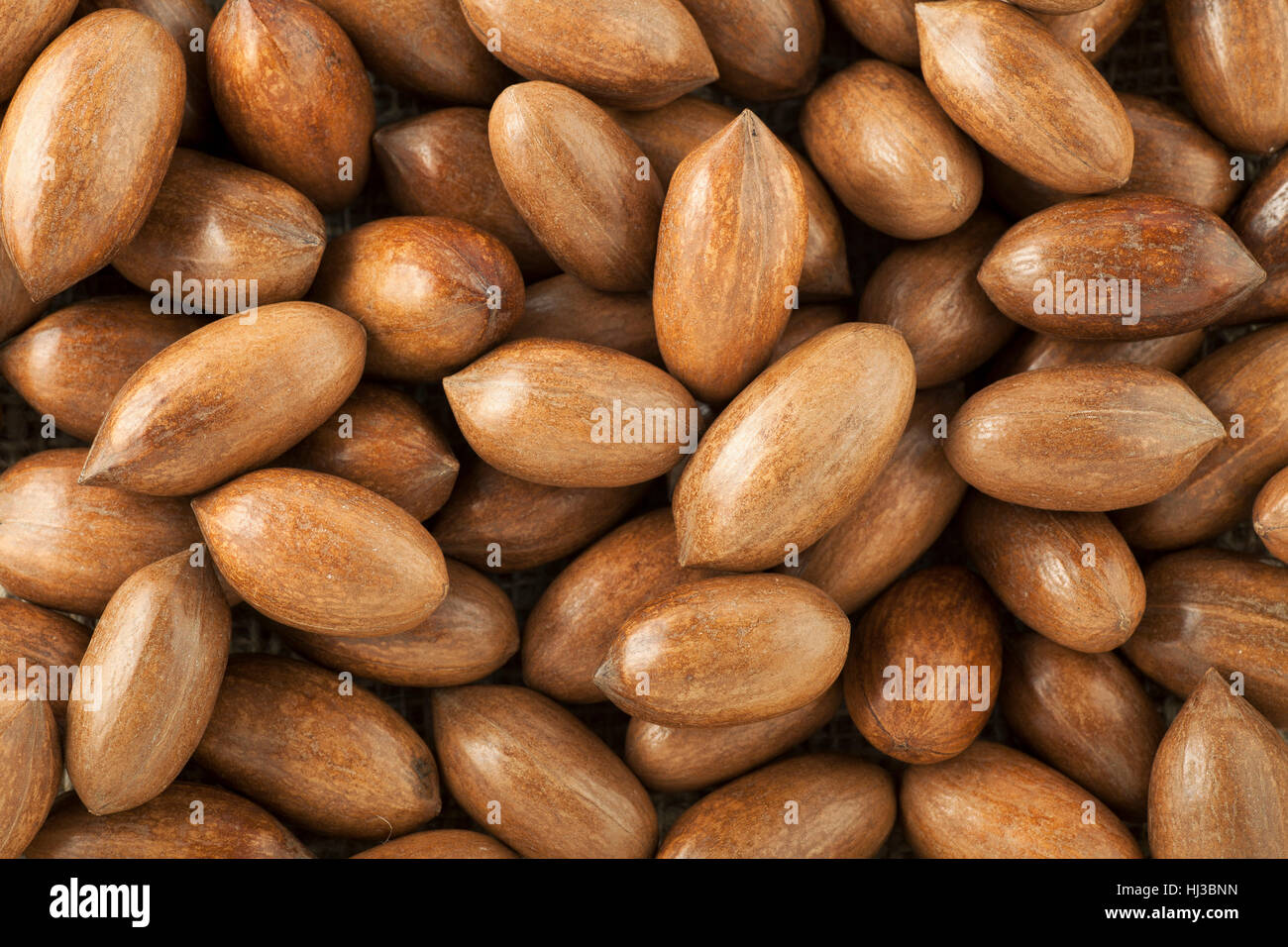 food, aliment, object, shell, nuts, nut, edible, backgrounds ...