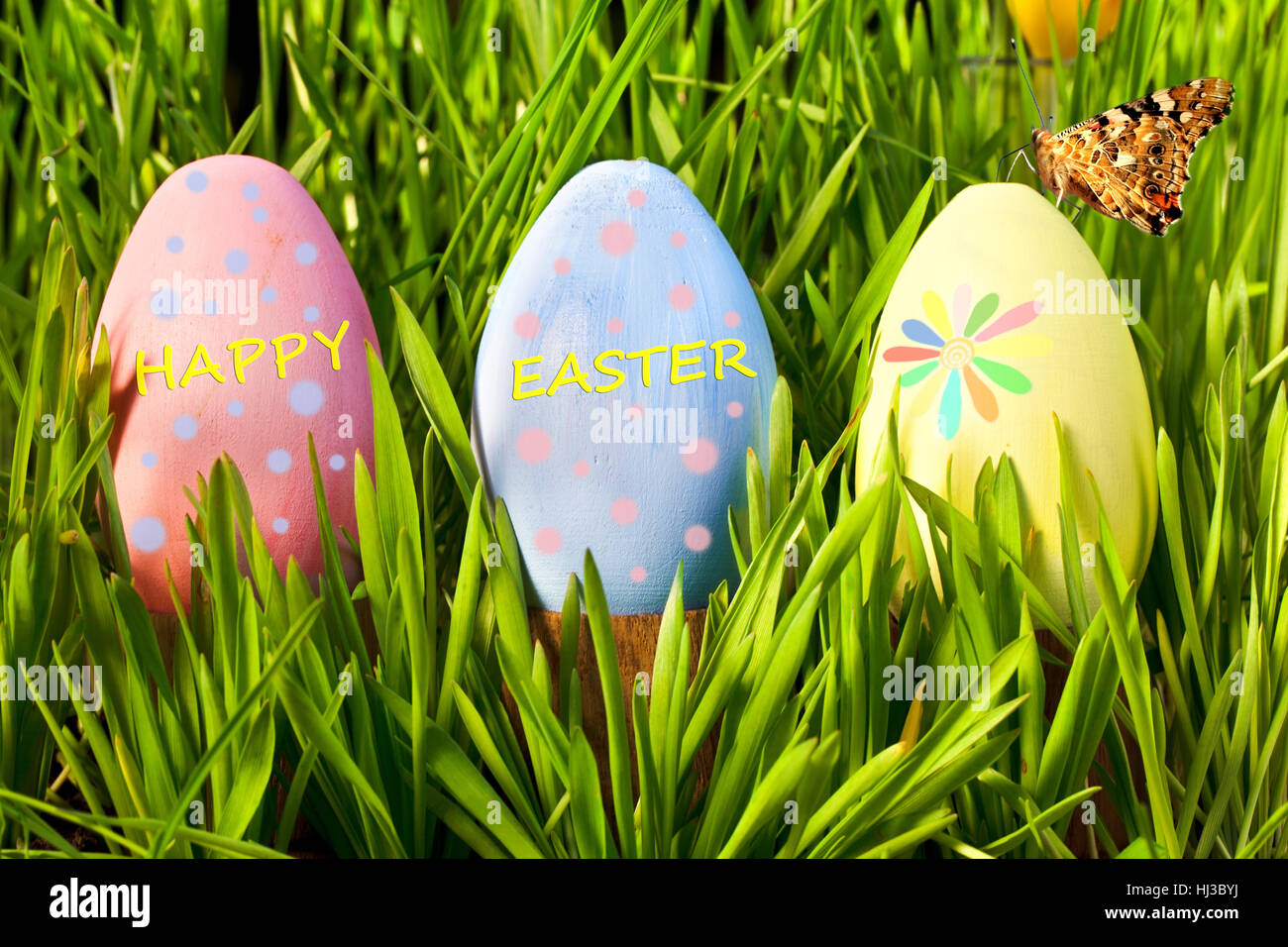 easter eggs in grass Stock Photo - Alamy