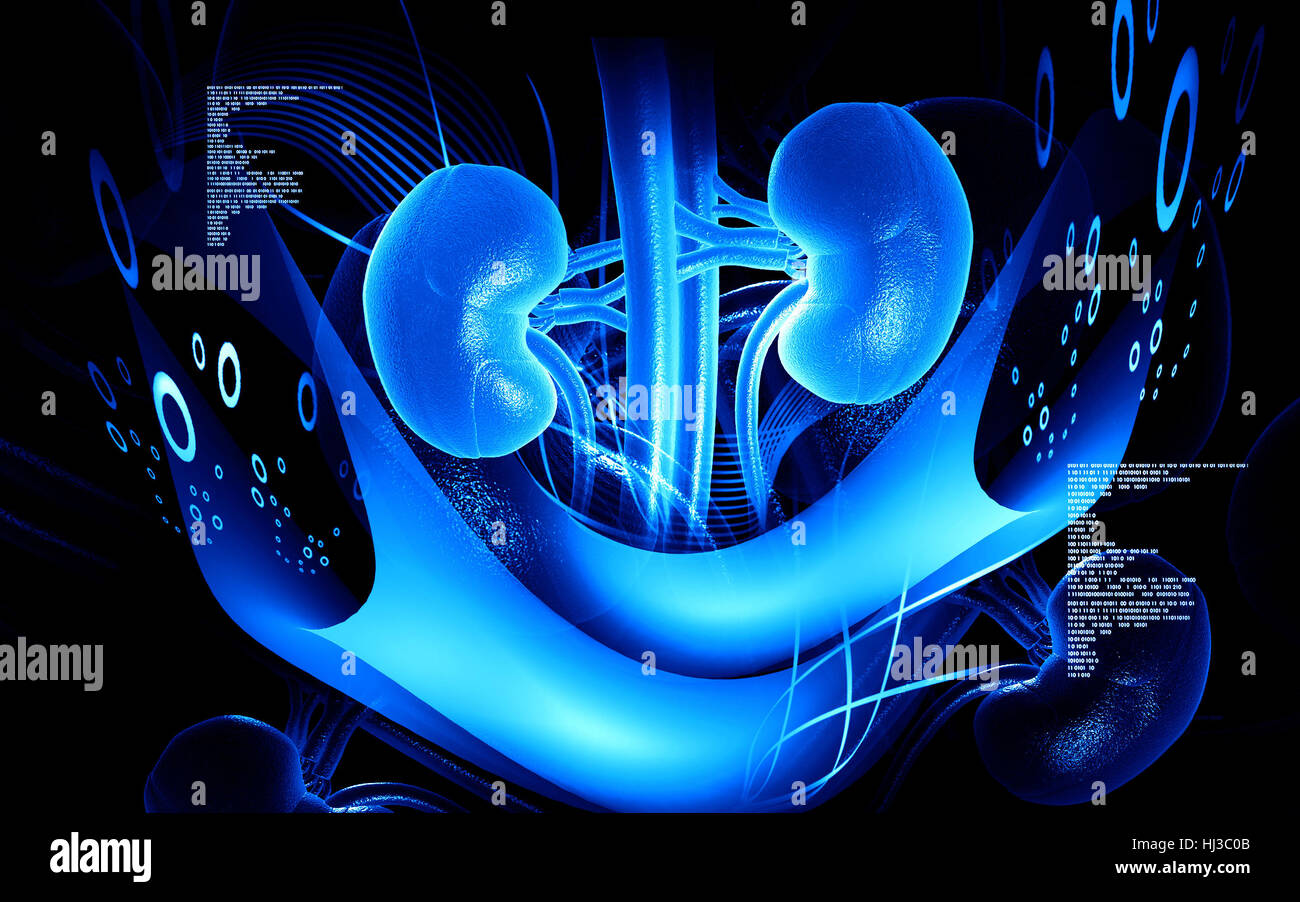 education, medicinally, medical, graphics, colour, illustration ...