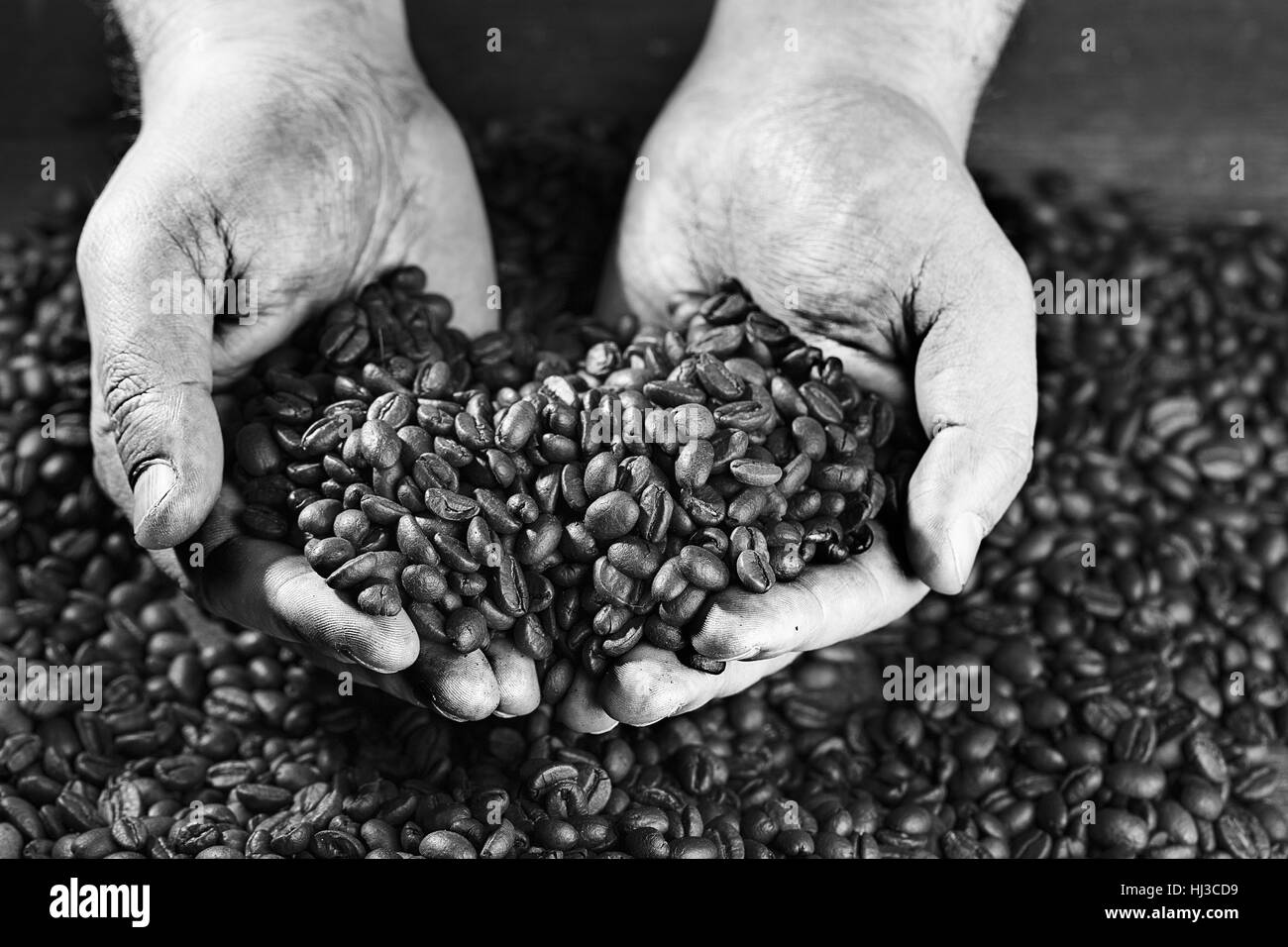 hand, hands, coffee, coffee bean, beans, oxidized, coffee beans, bean ...