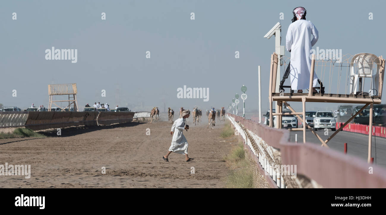 Oman camel racing hi-res stock photography and images - Alamy