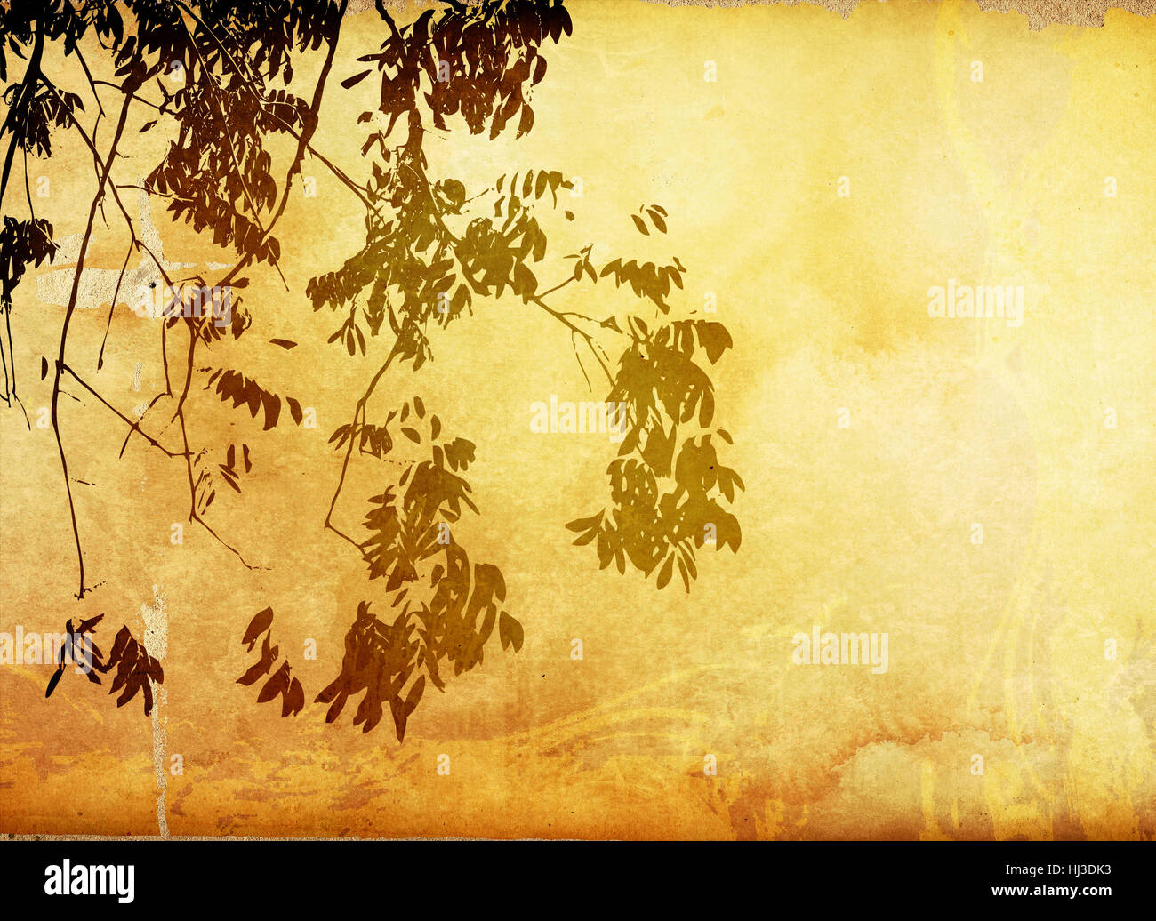 leaf, graphic, flower, plant, antique, grain, vintage, decay, material ...