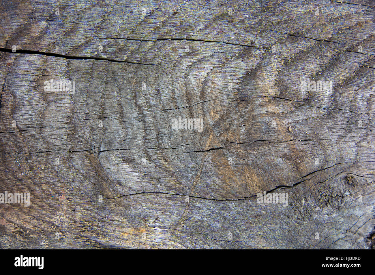 close up of weathered wood with cracks Stock Photo - Alamy