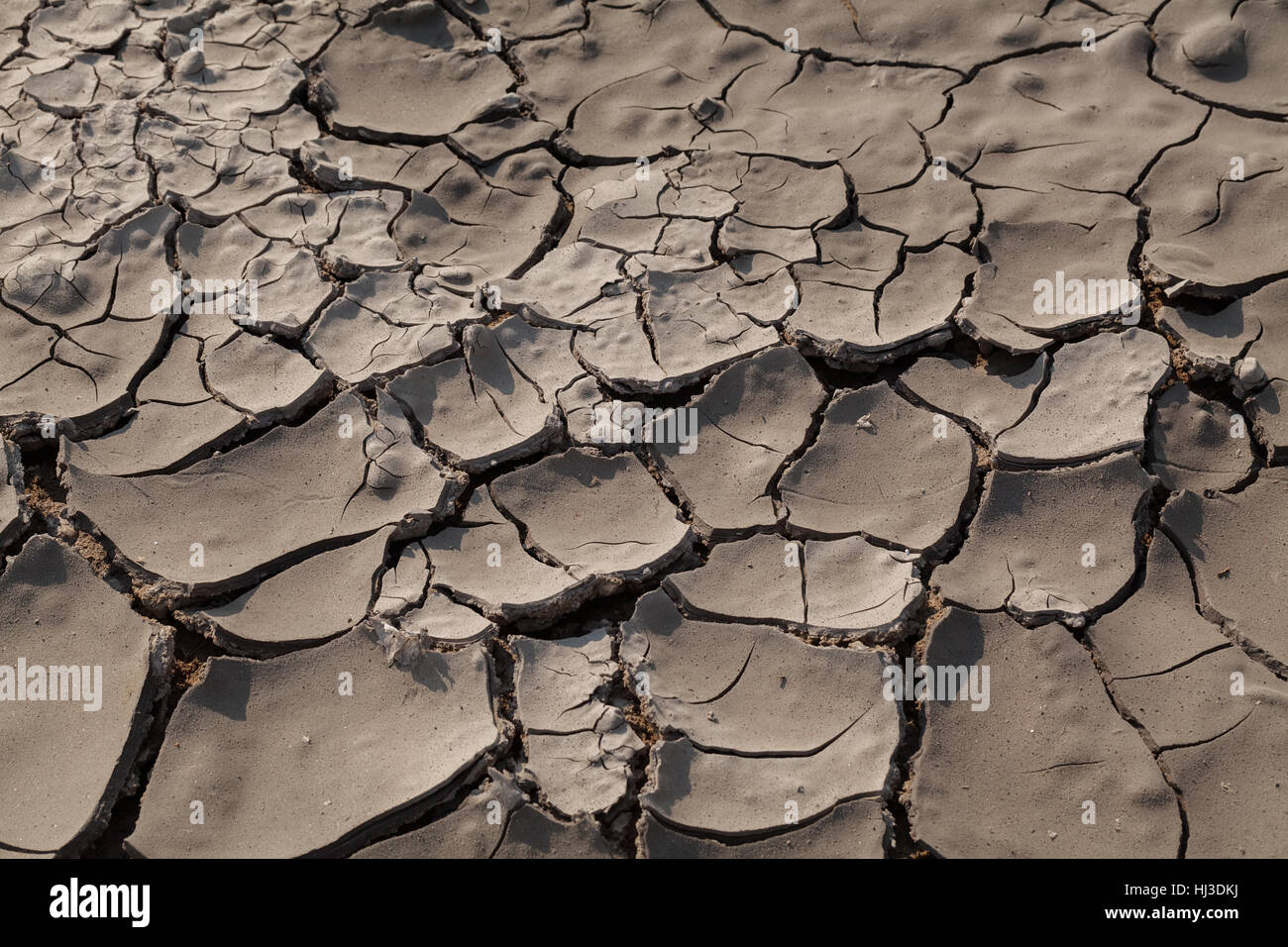 cracked mud on drying in nature, note shallow depth of field Stock ...