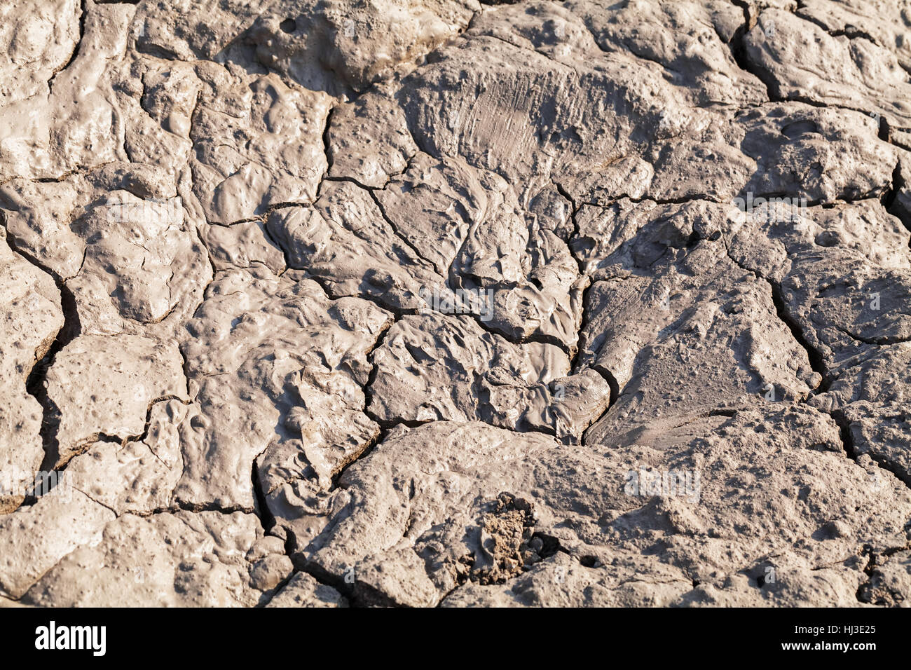 cracked mud on drying in nature, note shallow depth of field Stock ...
