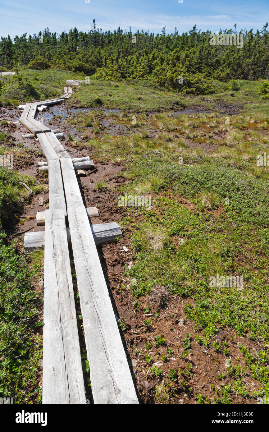Alpine subalpine bog system hi-res stock photography and images - Alamy