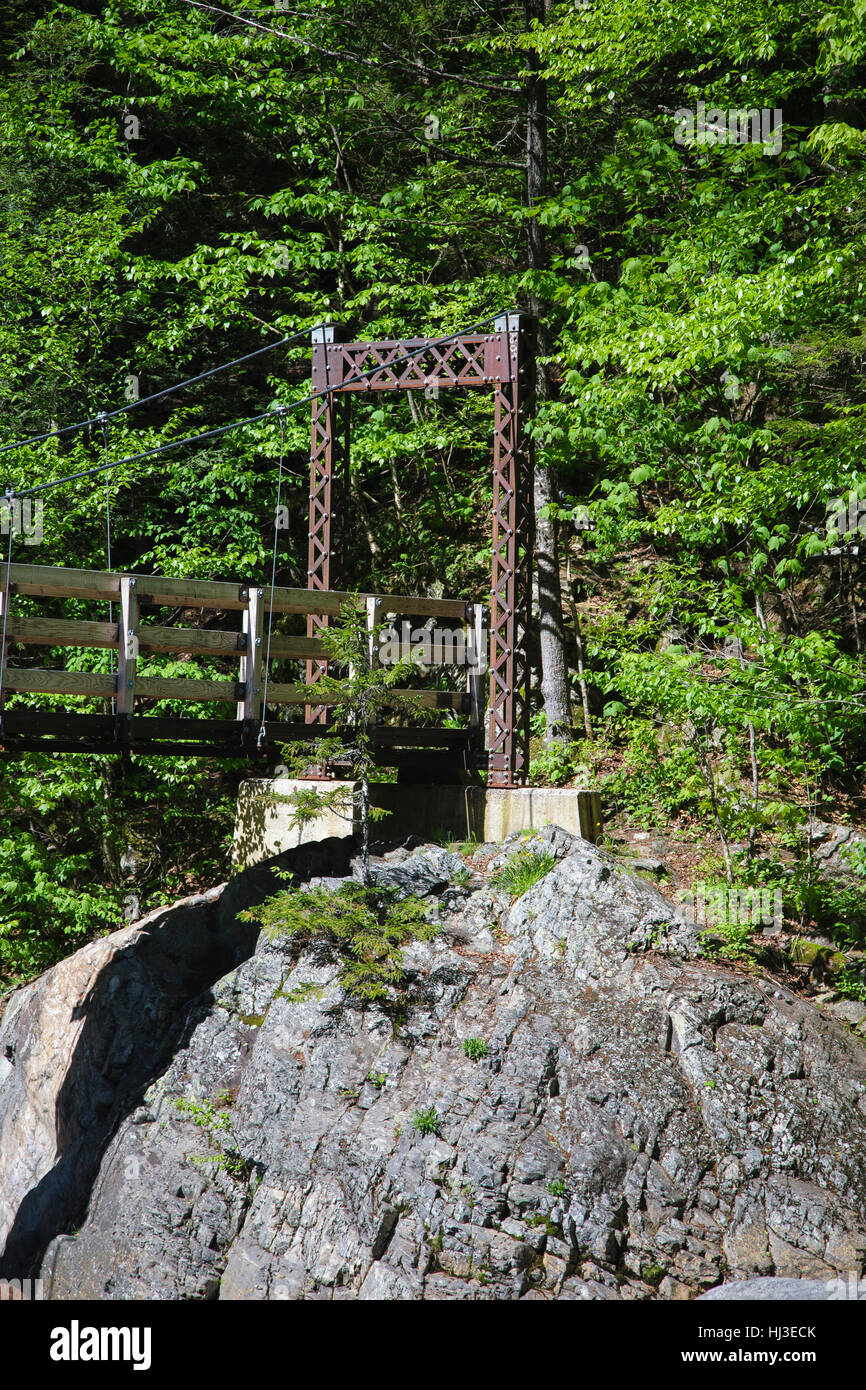 Dry River Wilderness - Foot bridge which crosses the Dry River along ...