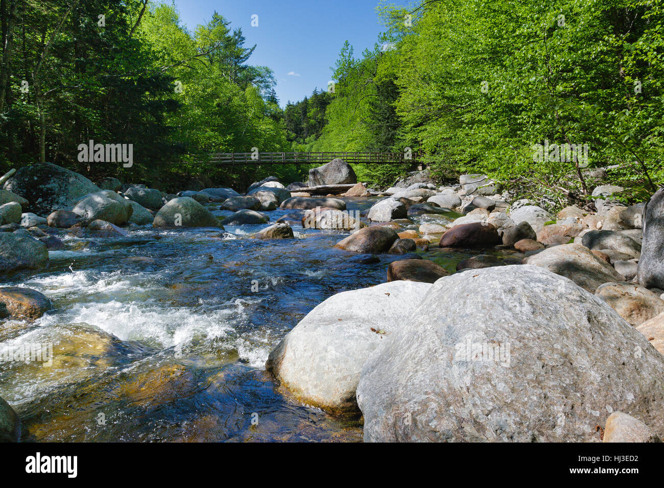 Dry River Wilderness - Foot bridge which crosses the Dry River along ...