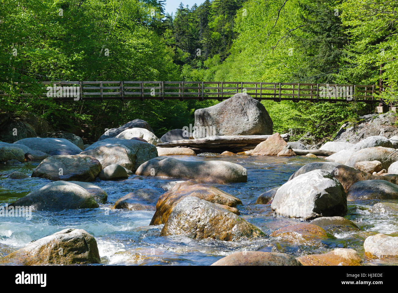 Dry River Wilderness - Foot bridge which crosses the Dry River along ...