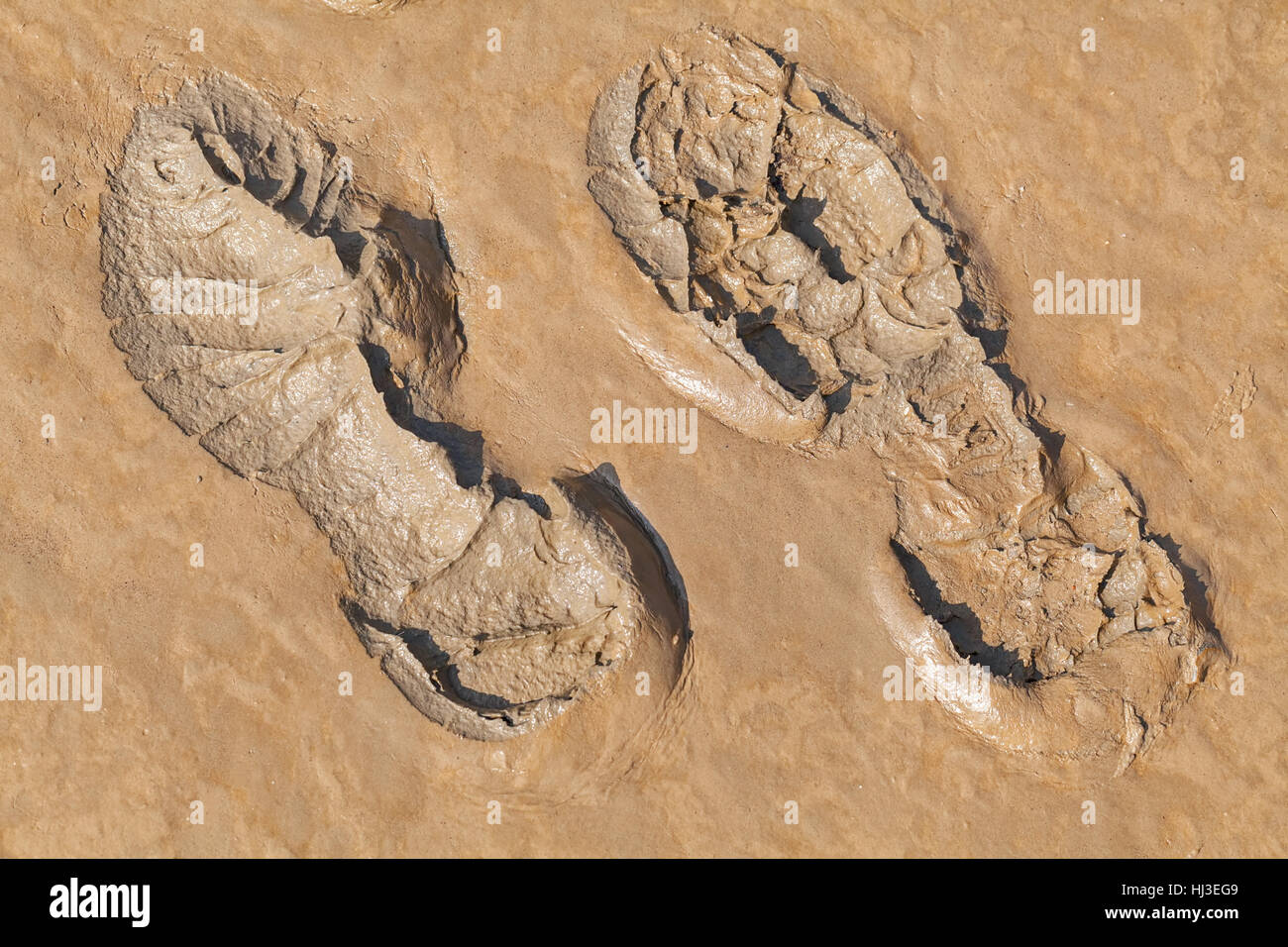 Boot footprints in mud hi-res stock photography and images - Alamy