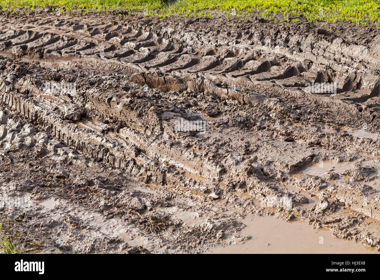 muddy path after the melting of snow, note shallow depth of field Stock ...