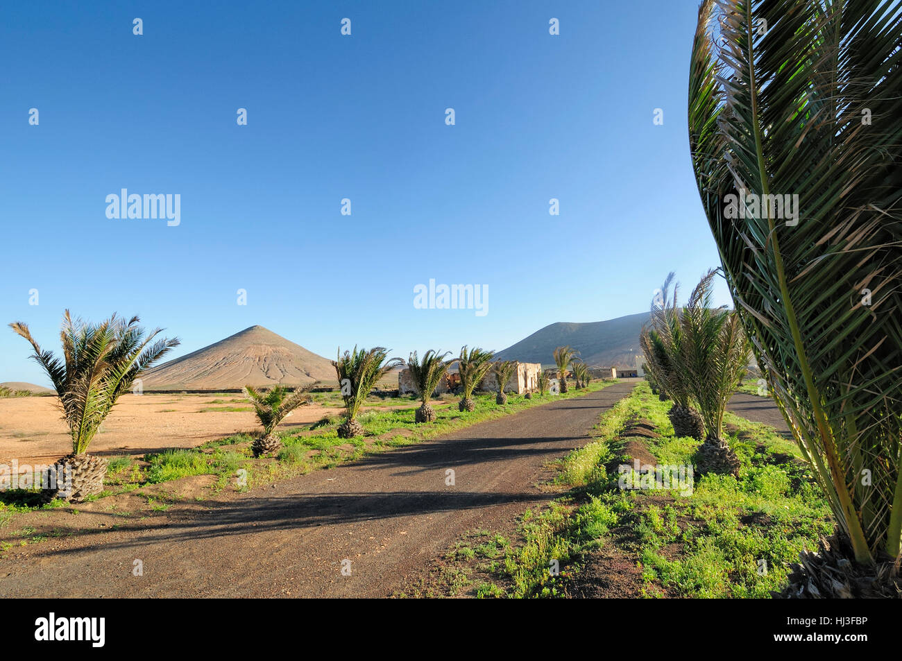 canary islands, volcanoes, scenery, countryside, nature, vulcan ...