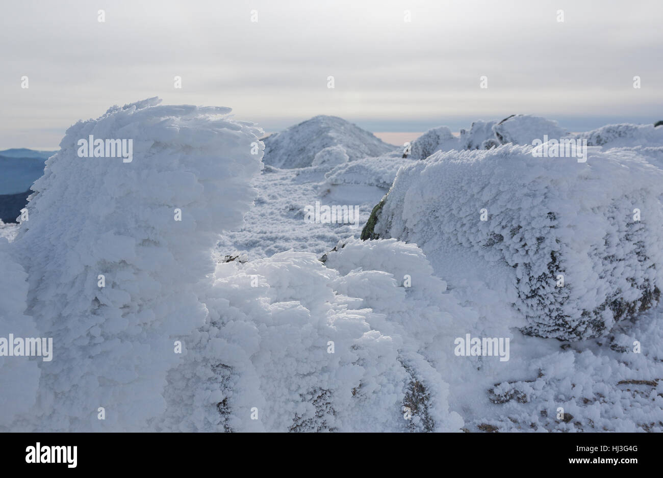 Appalachian mountains winter alpine zone hi-res stock photography and ...